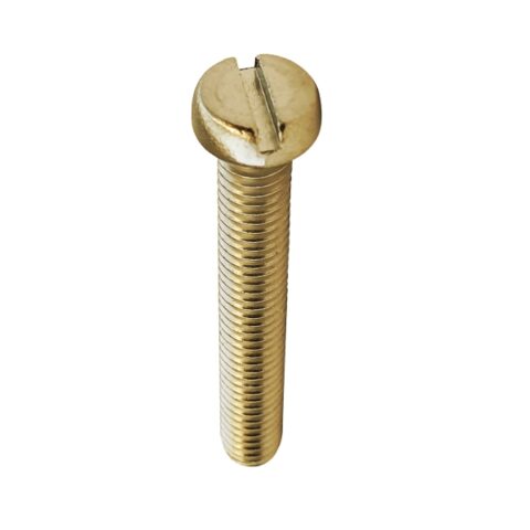 Cheese hd brass m screw 6 x 60 - EIS